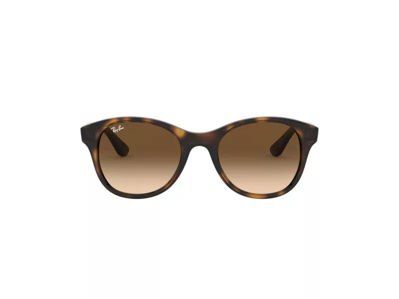 Ray-Ban Naočare za sunce RB 4203 710/13