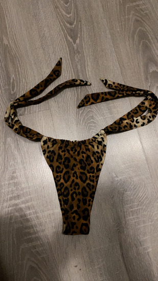 Leopard kupaci