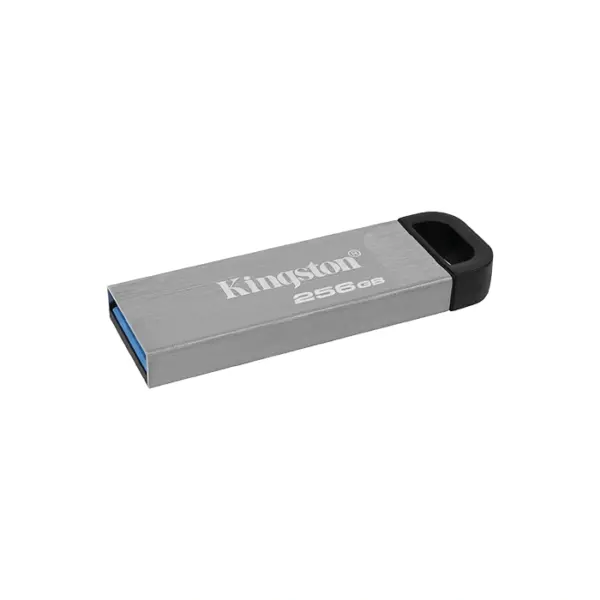 KINGSTON USB Flash memorija 256GB DTKN/256GB