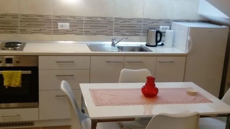 Izdavanje, dvosoban stan, 49m2, Dedinje, Beograd