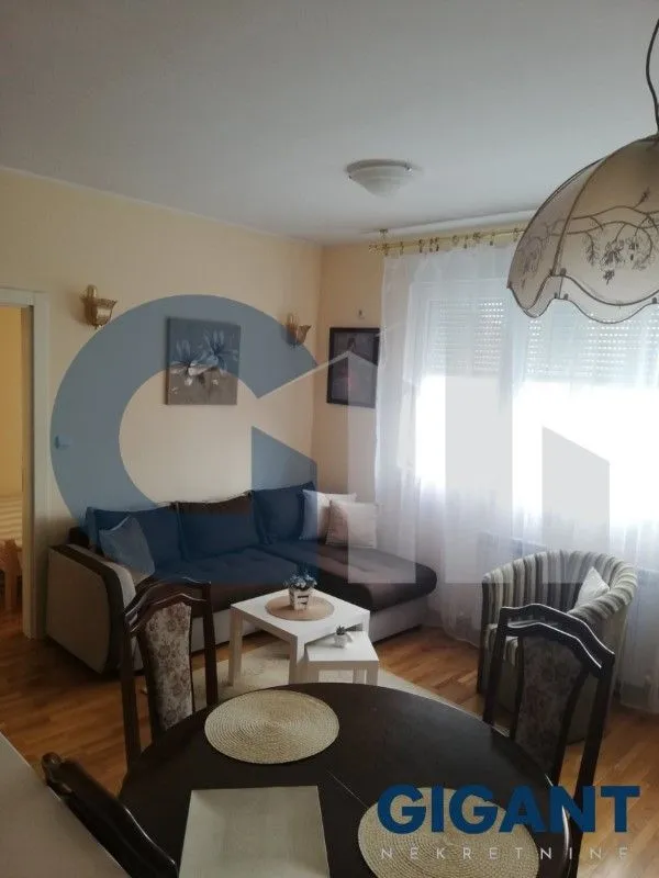 Izdavanje, jednosoban stan, 47m2, Novi Beograd Blok 63, Novi Beograd, Beograd