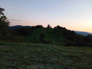 Prodajem placeve na Staroj planini ko Custica,1000mnv,3 km od asvatnog