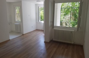 Prodajem Stan-Apartman, Liman 4