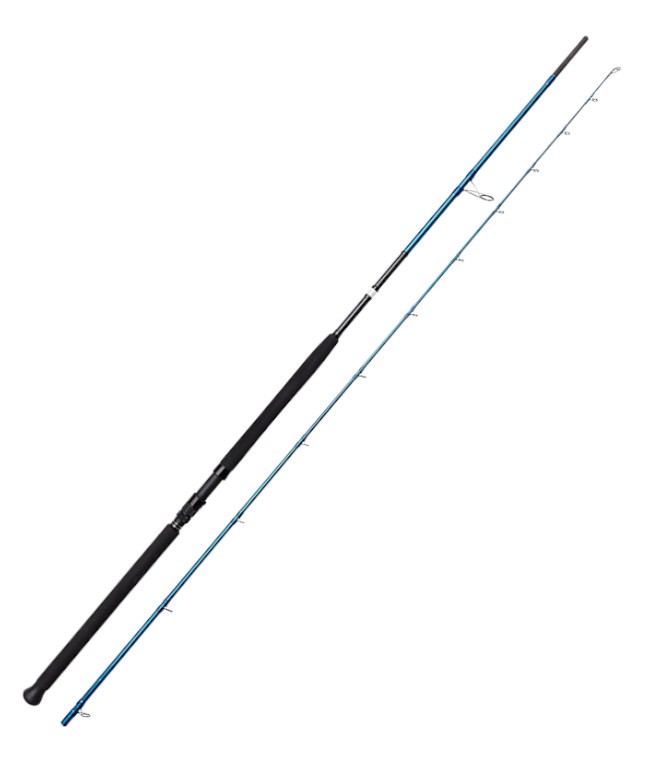 Štap za Pecanje Savage Gear SGS2 Shore Jigging 3.05m 30-100gr MF