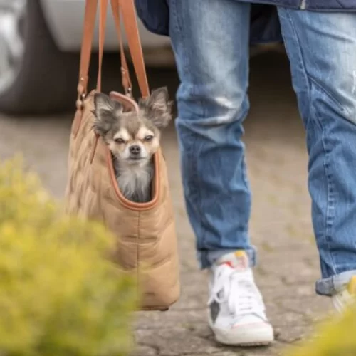 Torba za nošenje psa    Carrier Cassy BESPLATNA DOSTAVA