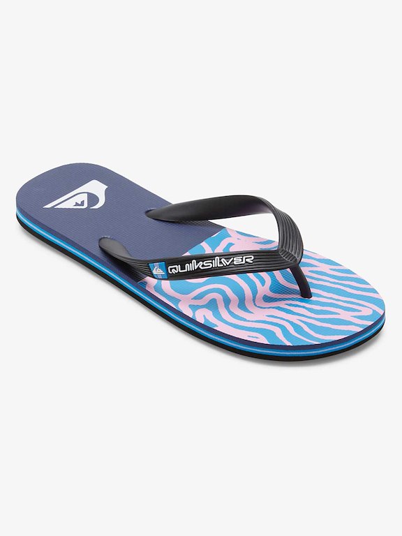 QUIKSILVER MOLOKAI ART II Flip Flops
2648 RSD 2118 RSD