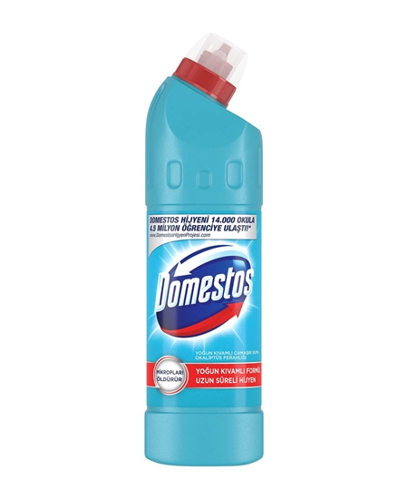 DOMESTOS 750ML ATLANTIC FRESH