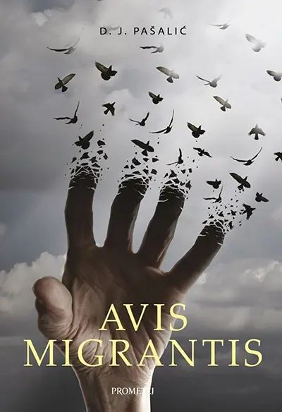 Avis migrantis