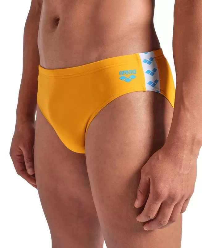 M ARENA ICONS SWIM BRIEFS SOLID