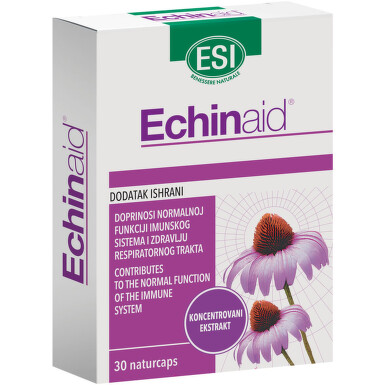 Echinaid, 30 kapsula