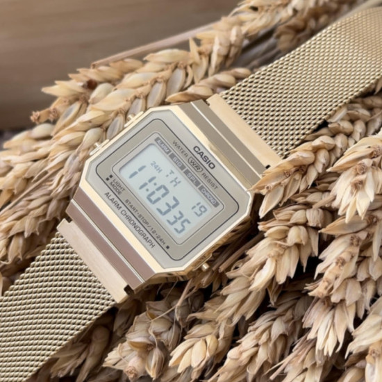 Casio Vintage