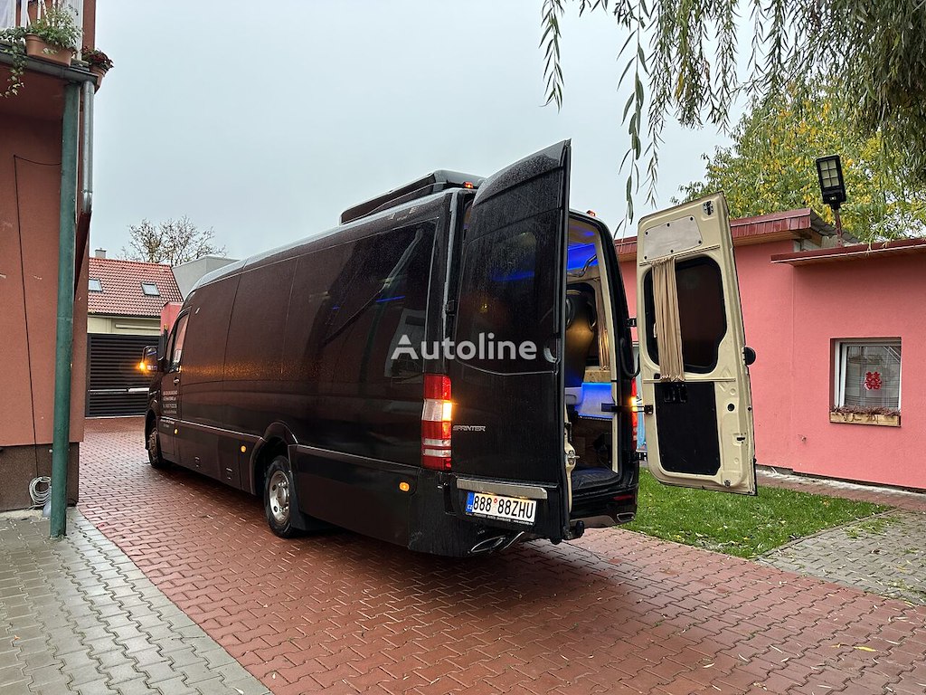 Mercedes-Benz Sprinter 519 putnički minibus