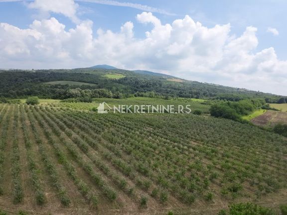 Građevinsko zemljište sa voćnjakom