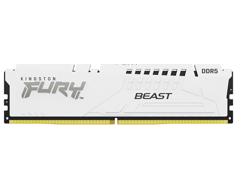 DIMM DDR5 16GB 6000MT/s KF560C36BWE-16 FURY Beast White EXPO