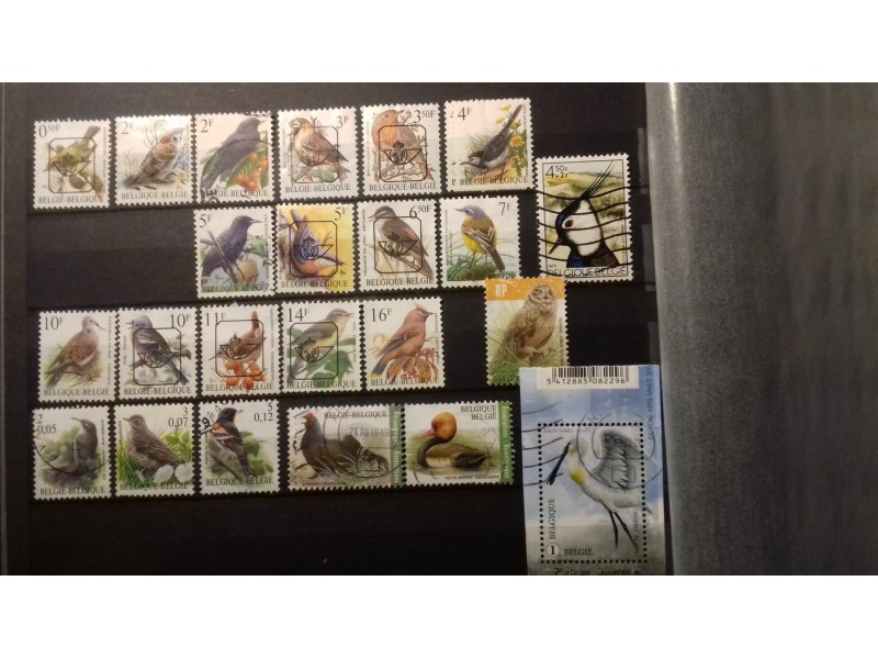 Belgija - Fauna Lot Ptice 23 komada