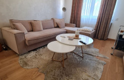 Stan,NOVI SAD,CENTAR,kv: 58, € 203500, ID: 1028672