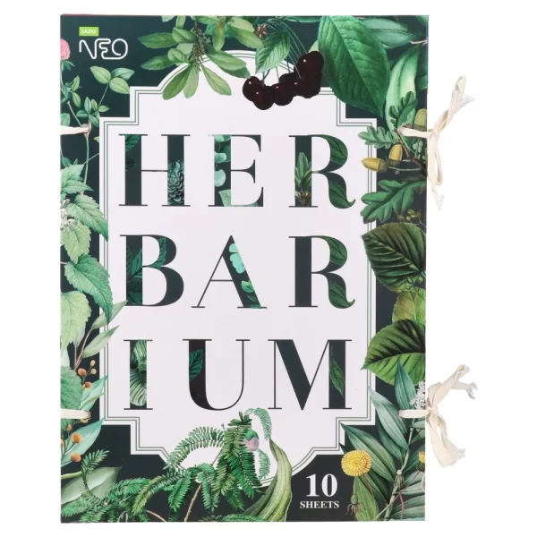 Plant, herbarijum, 10 lista