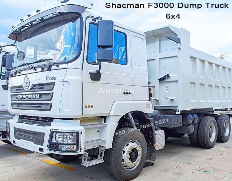 Novi Shacman F3000 10 Wheeler kiper