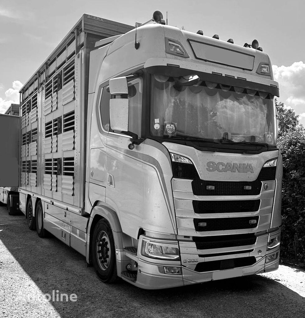 Scania S 650 kamion za prevoz stoke