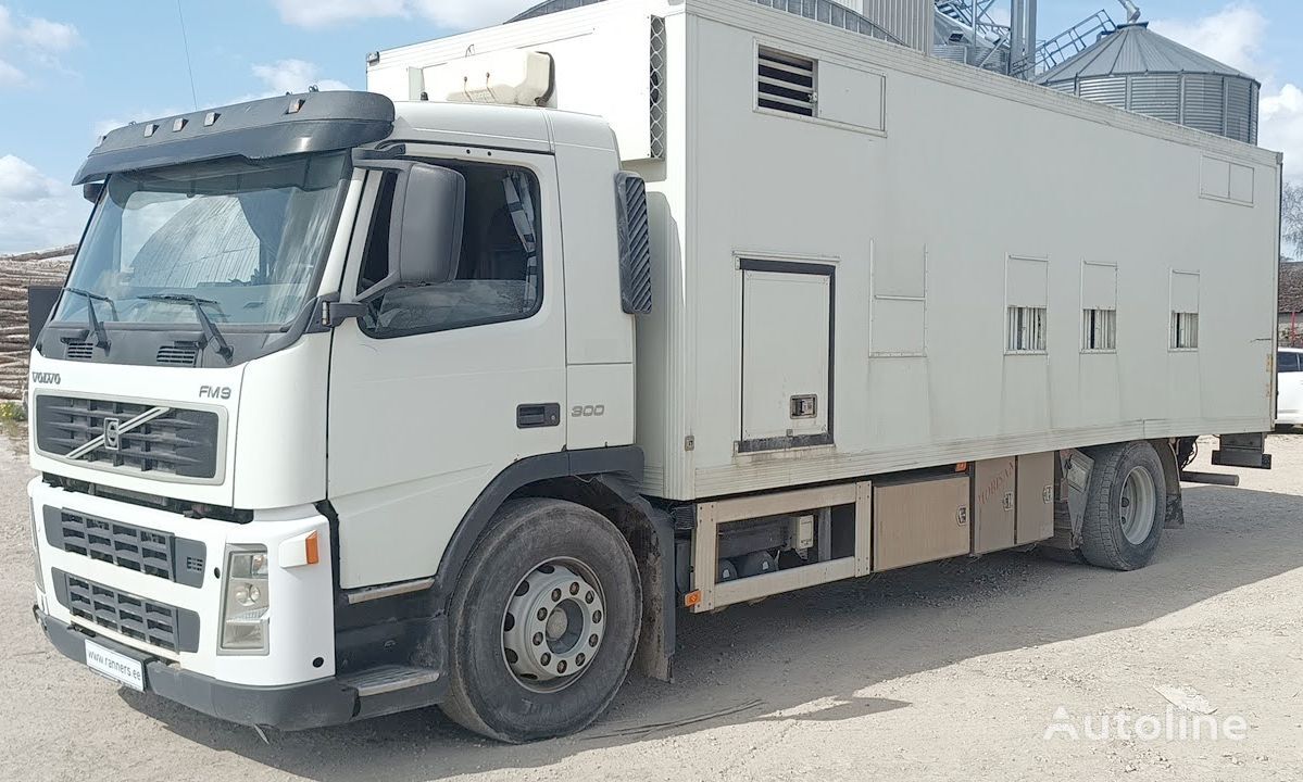 Volvo FM9 300 livestock truck kamion za prevoz stoke