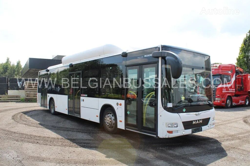 MAN Lion's City / CNG / Airco / Automatic / 4 Units gradski autobus