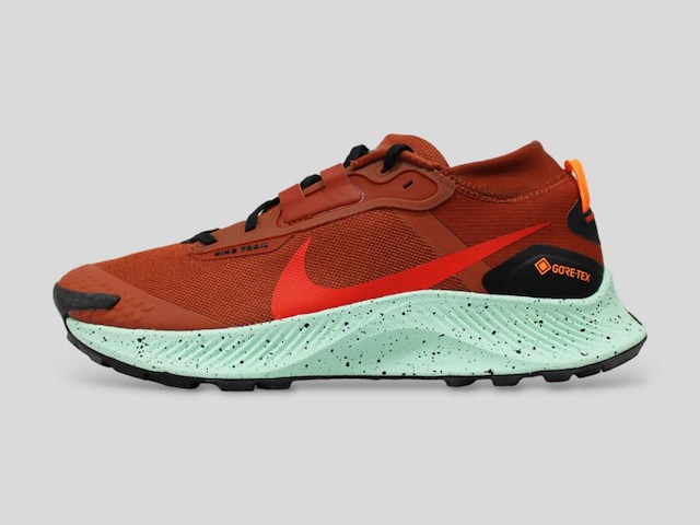 Nike Pegasus 3 GTX nepromočive muške patike SPORTLINE