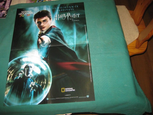 Poster Harry Potter i red Feniksa