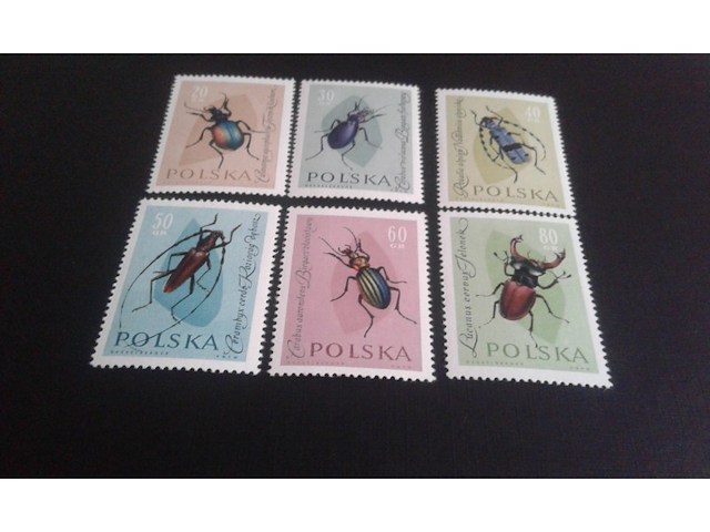 Poljska insekti serija iz 1961. god.