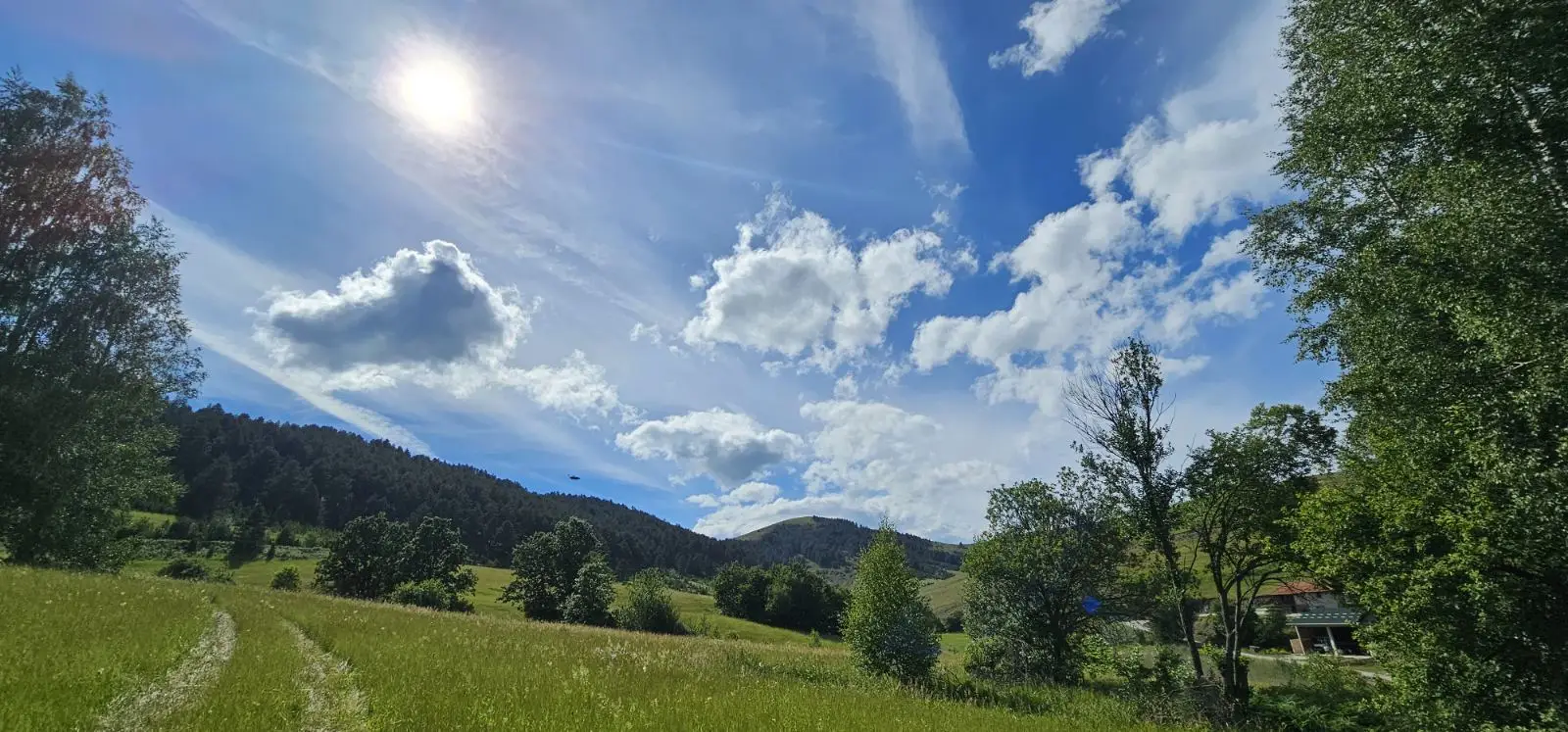 Plac, Zlatibor, 65ari