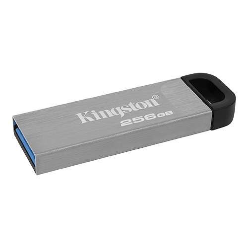 FlashDrive 256GB Kingston DTKN/256GB Sivi USB3.2