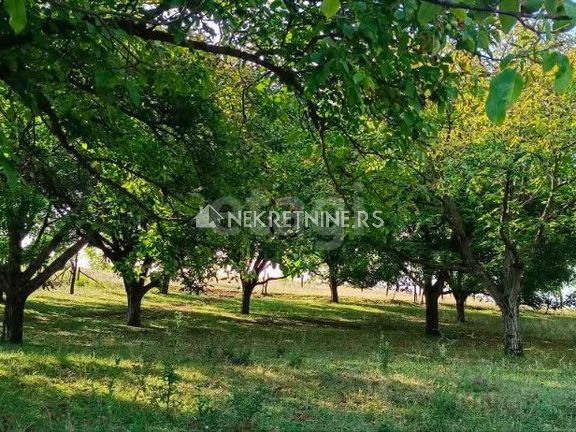 Umka - jedinstvena ponuda - 80 ari pored asfaltnog puta