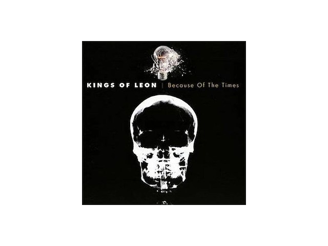 Kings Of Leon - Because Of The Times