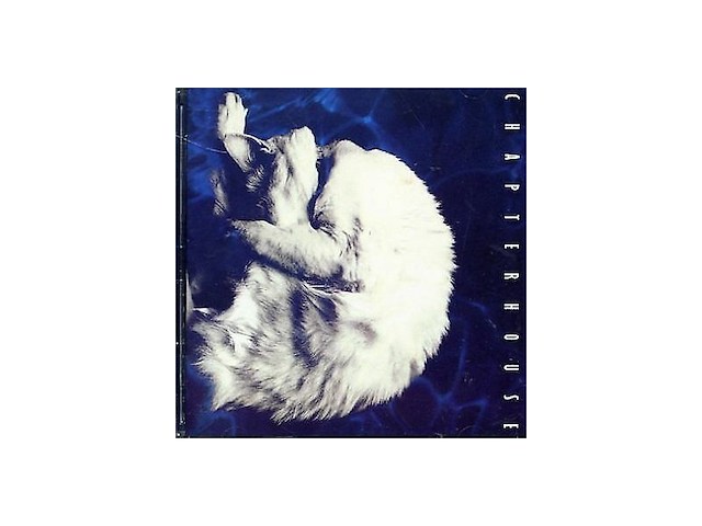 Chapterhouse - Whirlpool