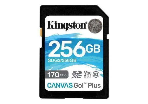 Memorijska kartica SDG3/256GB 256GB SDXC Canvas Go Plus 170R C10 UHS-I U3 V30