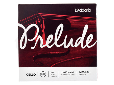 D'Addario Prelude J1010 4/4M Set