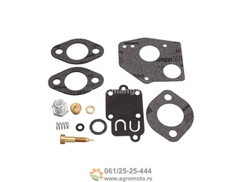 Set za reparaciju karburatora Briggs &amp; Stratton 495606 494624