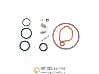 Set za reparaciju karburatora Briggs &amp; Stratton 450E 500E 550E