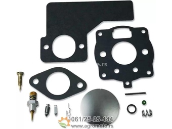 Set za reparaciju karburatora Briggs &amp; Stratton 394989