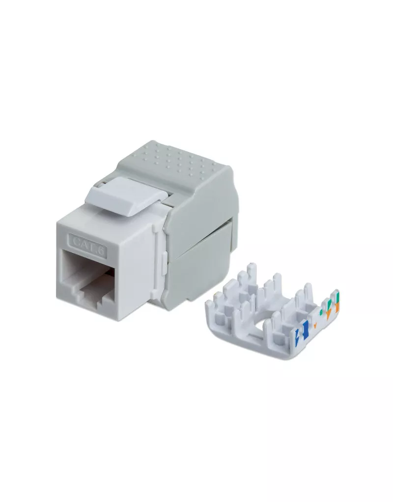 Modul RJ45 Intellinet 167062 Cat6/tool-less/568B 2-1/beli