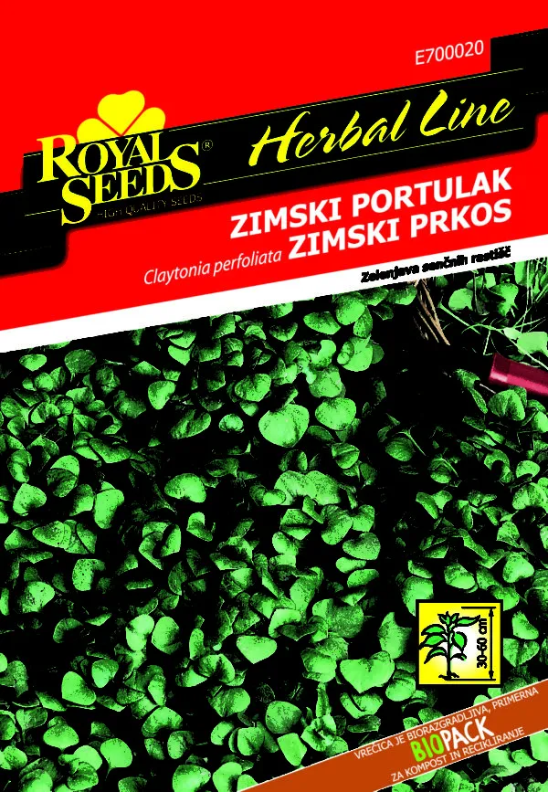 Zimski prkos (bunarka, rudarska salata)