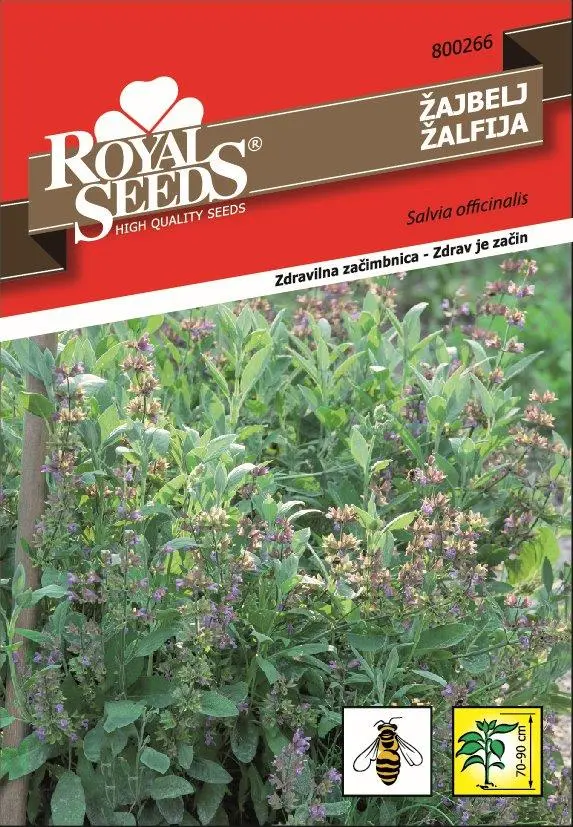 Salvia, žalfija