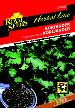 Korijander herbal