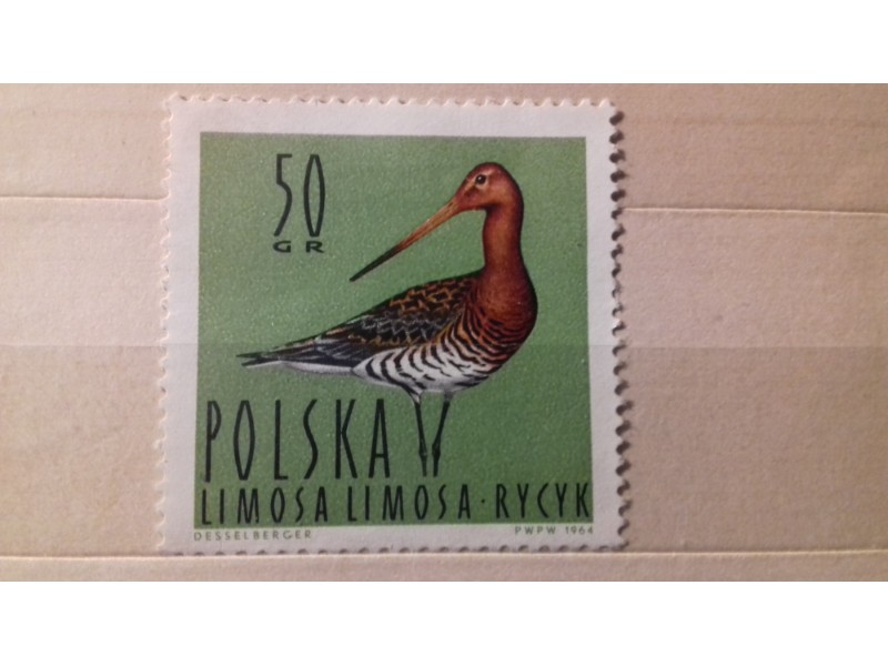 Poljska - Fauna Ptice 1964.