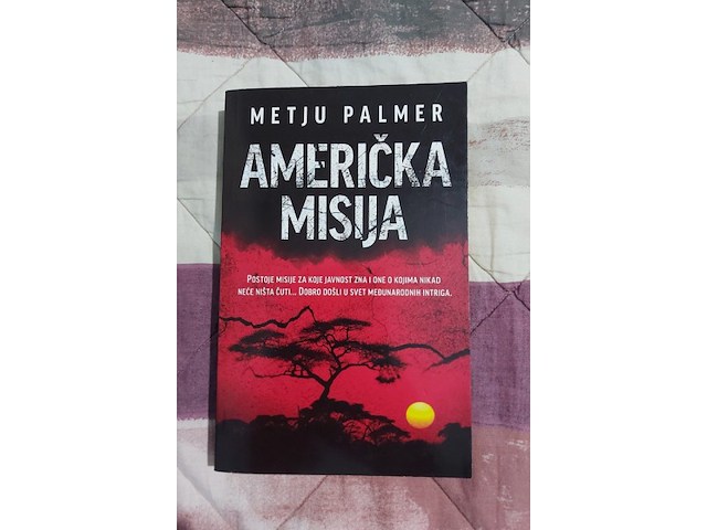 Metju Palmer - Američka misija