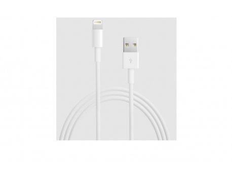 APPLE Lightning to USB Cable (0.5 m) ( me291zm/a )