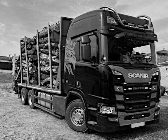 Scania R650 V8 kamion za prevoz drva