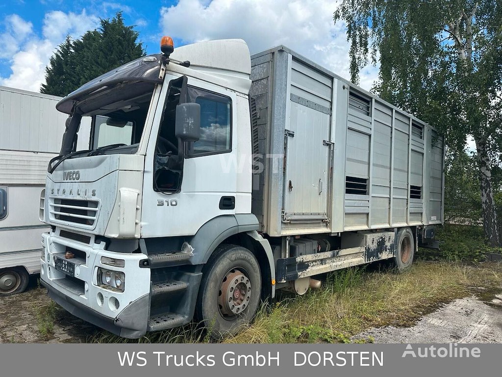 IVECO Stralis 310 kamion za prevoz stoke