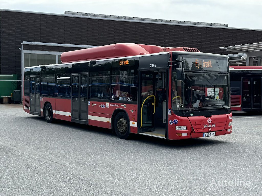 MAN A21 CNG (11 BUSES) gradski autobus