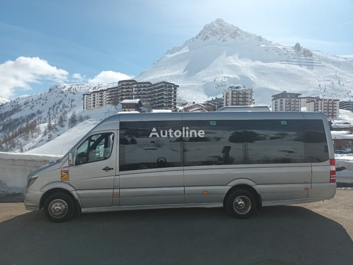 Mercedes-Benz Sprinter 519 putnički minibus