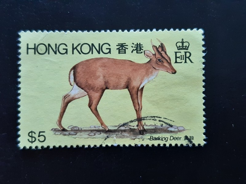 HONG KONG 1982